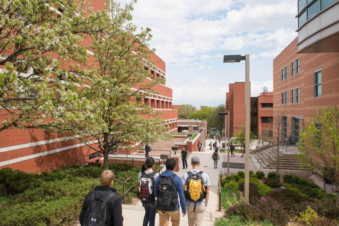College of Natural and Mathematical Sciences - UMBC